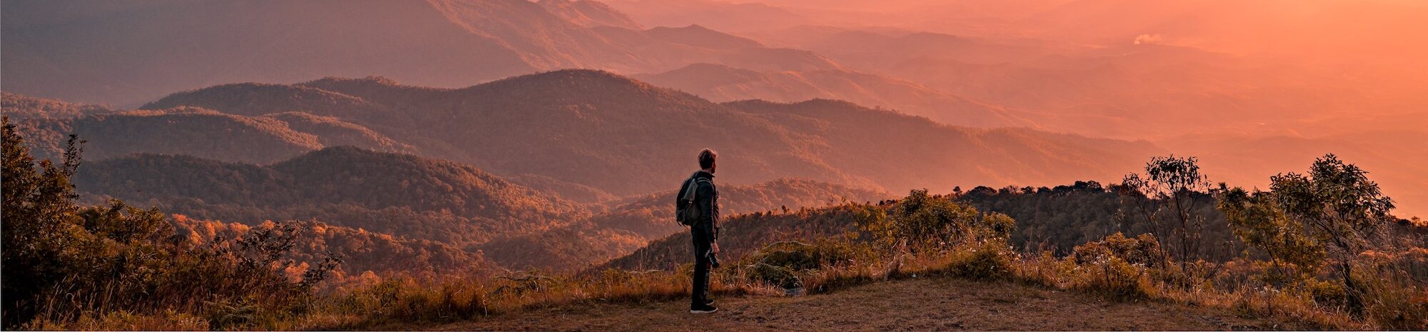 Mindfulness and Mental Health - My WordPress